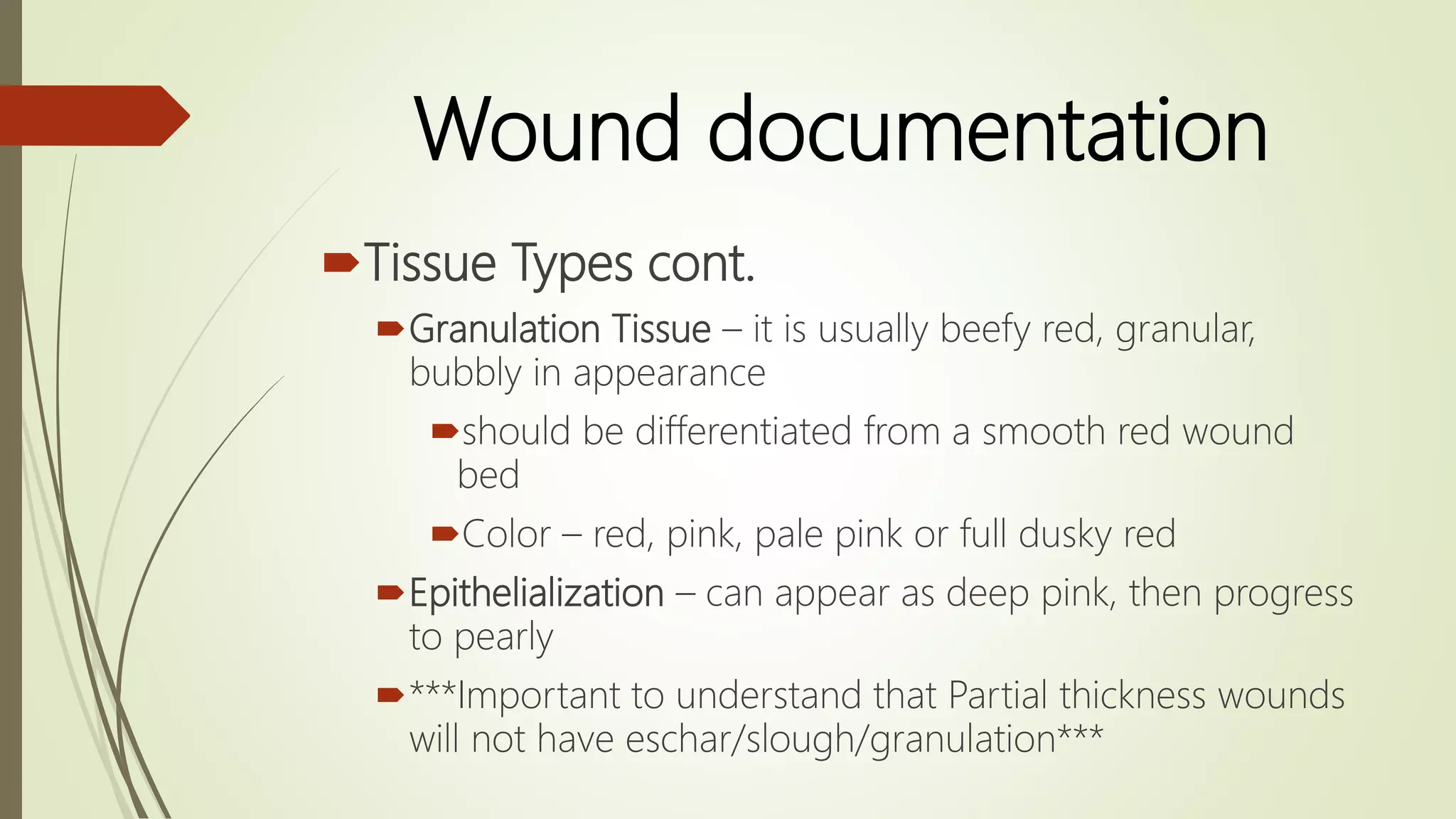 Wound documentation: anatomy & photography | PPTX