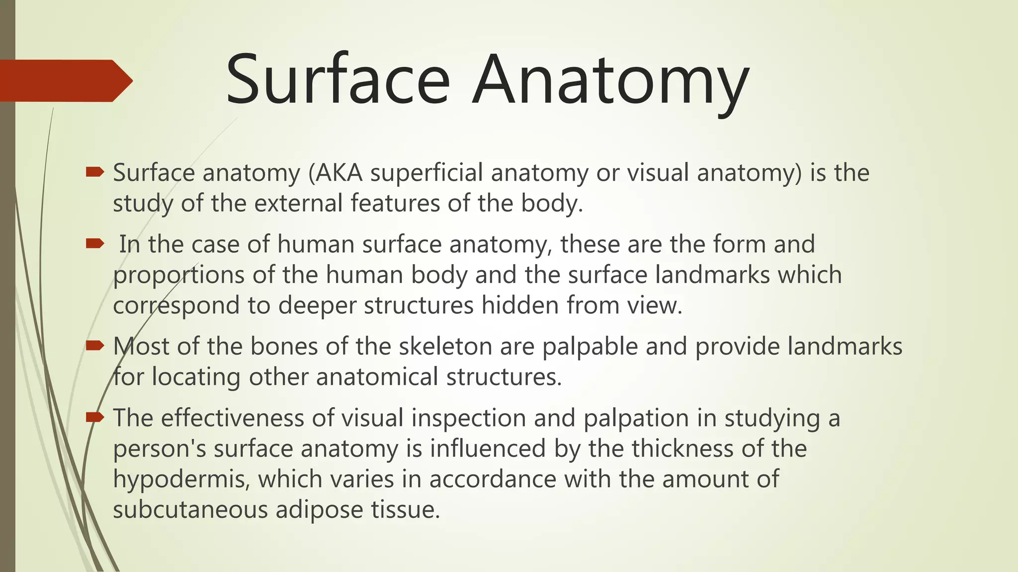 Wound documentation: anatomy & photography | PPTX