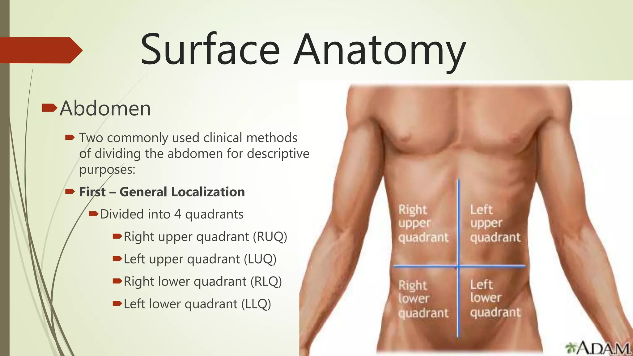 Wound documentation: anatomy & photography | PPTX
