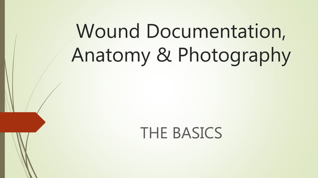 Wound documentation: anatomy & photography | PPTX | Foot Health ...