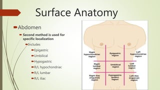 Wound documentation: anatomy & photography | PPTX