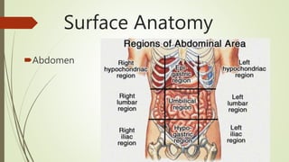 Wound documentation: anatomy & photography | PPTX
