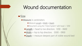Wound documentation: anatomy & photography | PPTX