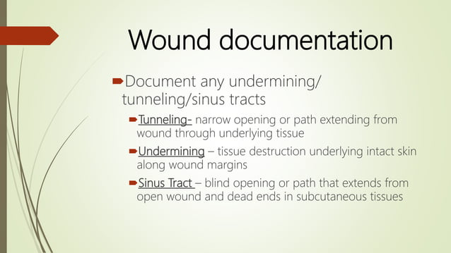 Wound documentation: anatomy & photography | PPTX | Foot Health ...