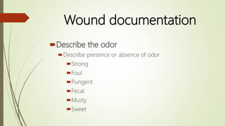Wound documentation: anatomy & photography | PPTX