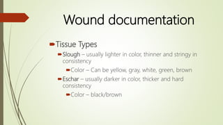 Wound documentation: anatomy & photography | PPTX