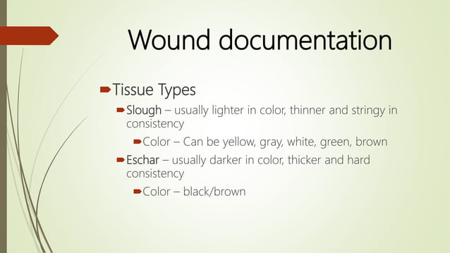 Wound documentation: anatomy & photography | PPT