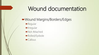 Wound documentation: anatomy & photography | PPTX
