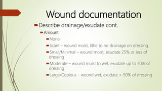 Wound documentation: anatomy & photography | PPT