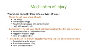 wounddressing-180526060439.pdf