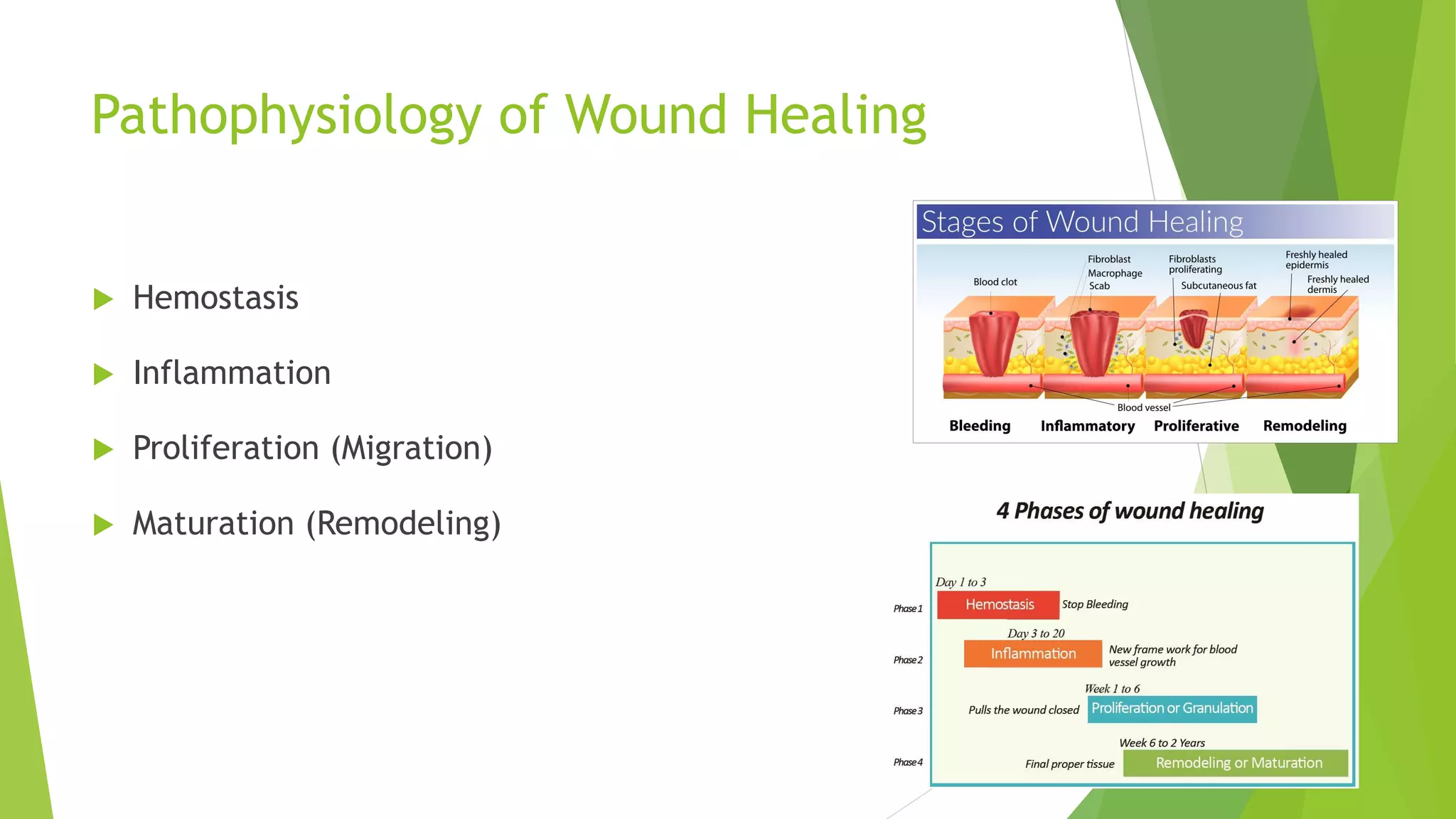 wound dressing selection.pdf | First Aid | Injuries