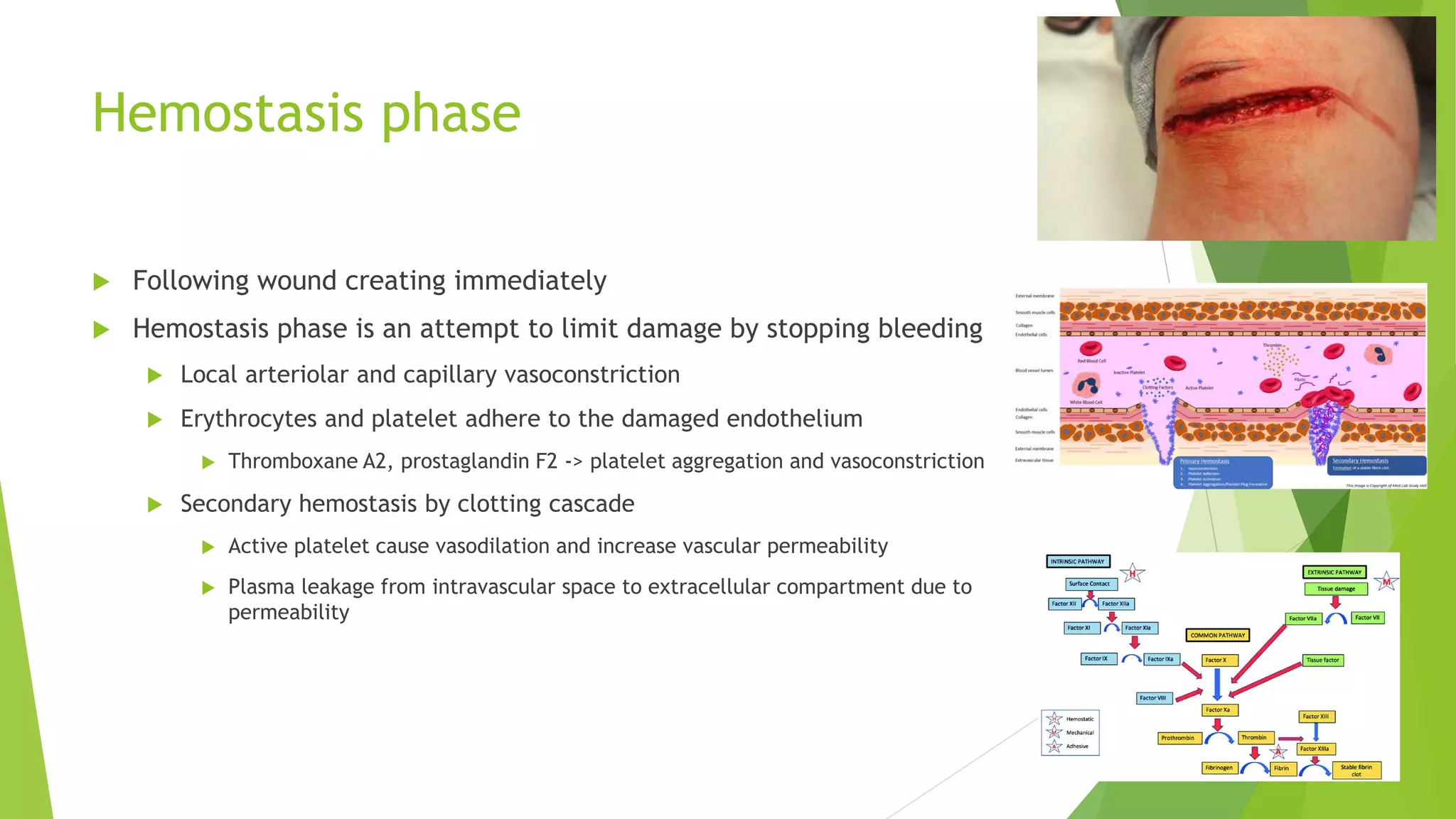 wound dressing selection.pdf