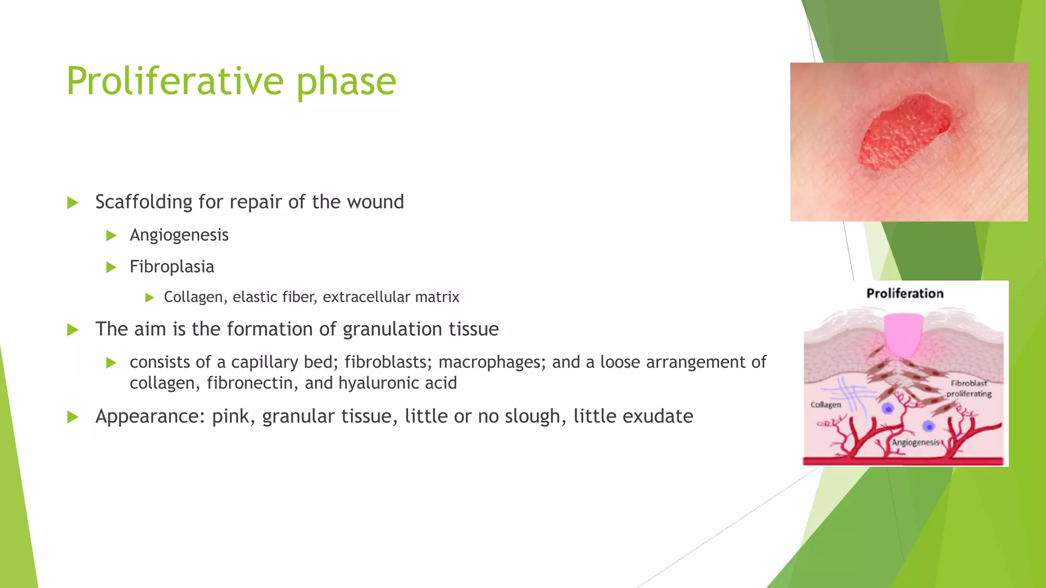 wound dressing selection.pdf