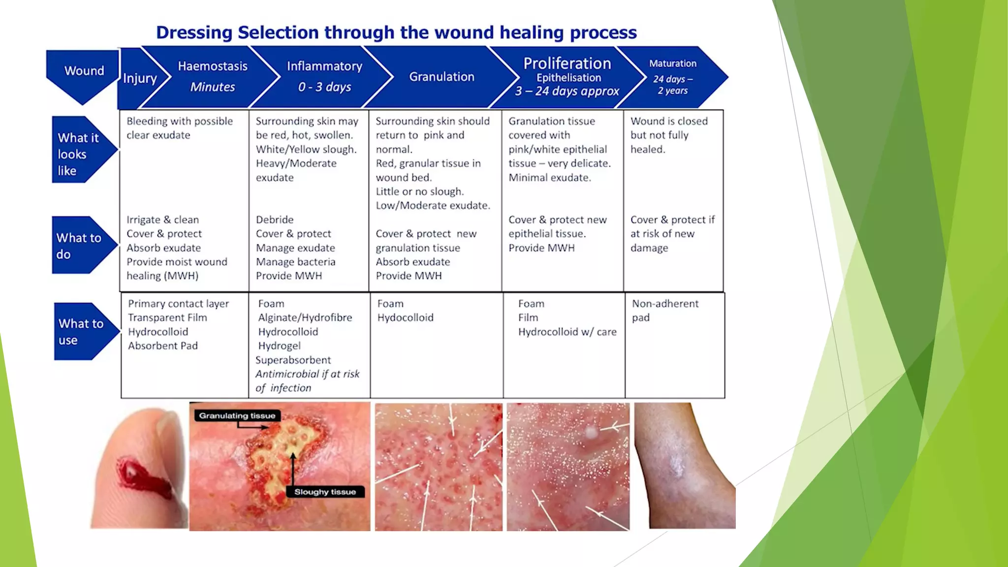 wound dressing selection.pdf | First Aid | Injuries