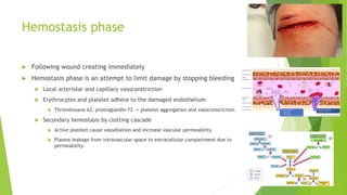 wound dressing selection.pdf