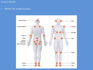 WOund evaluation and preparatioacfoeding to the medicinen.pptx