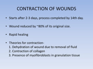 Wound healing | PPTX