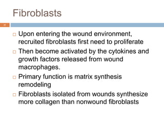 Wound healing | PPT