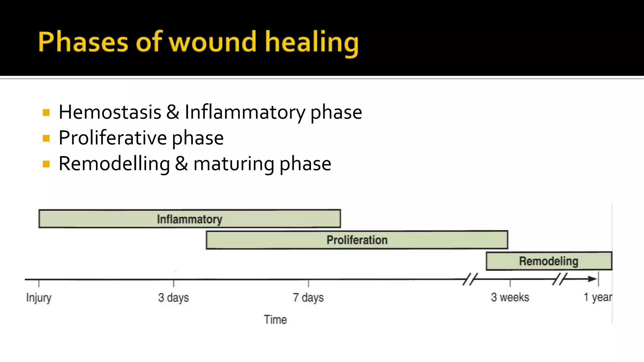 Wound healing | PPTX