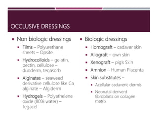 Wound h ealing | PPTX