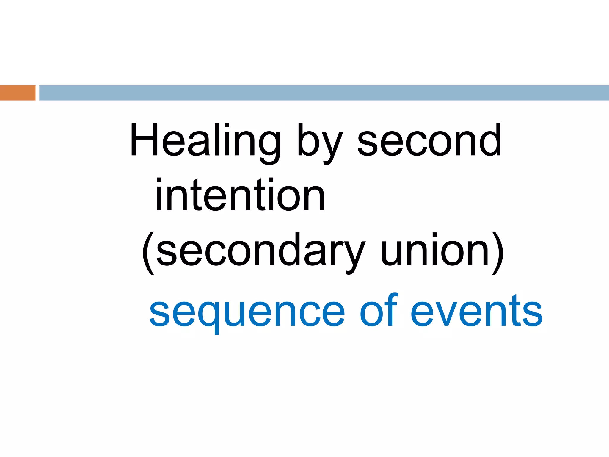 woundhealing-190112152216 (1).pdf