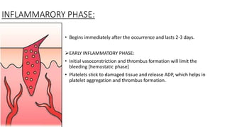 Wound healing | PPTX