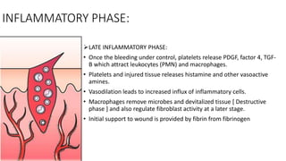 Wound healing | PPTX