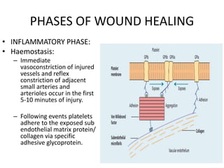Wound healing | PPTX
