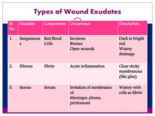 Types Of Wound Exudate