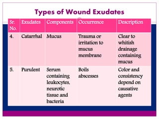 Types Of Wound Exudate