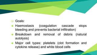 Wound healing | PPTX