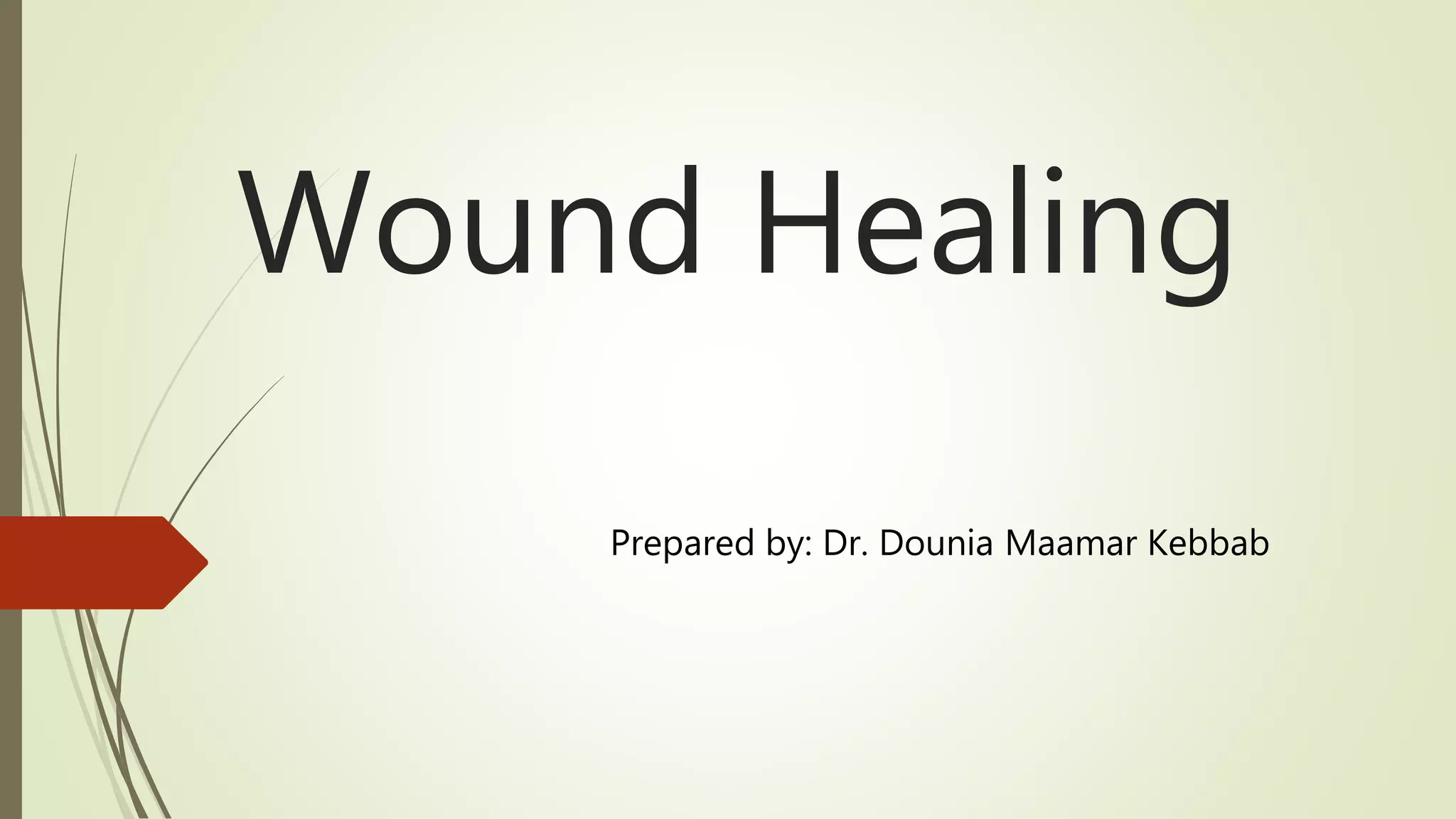 Wound healing | PPT