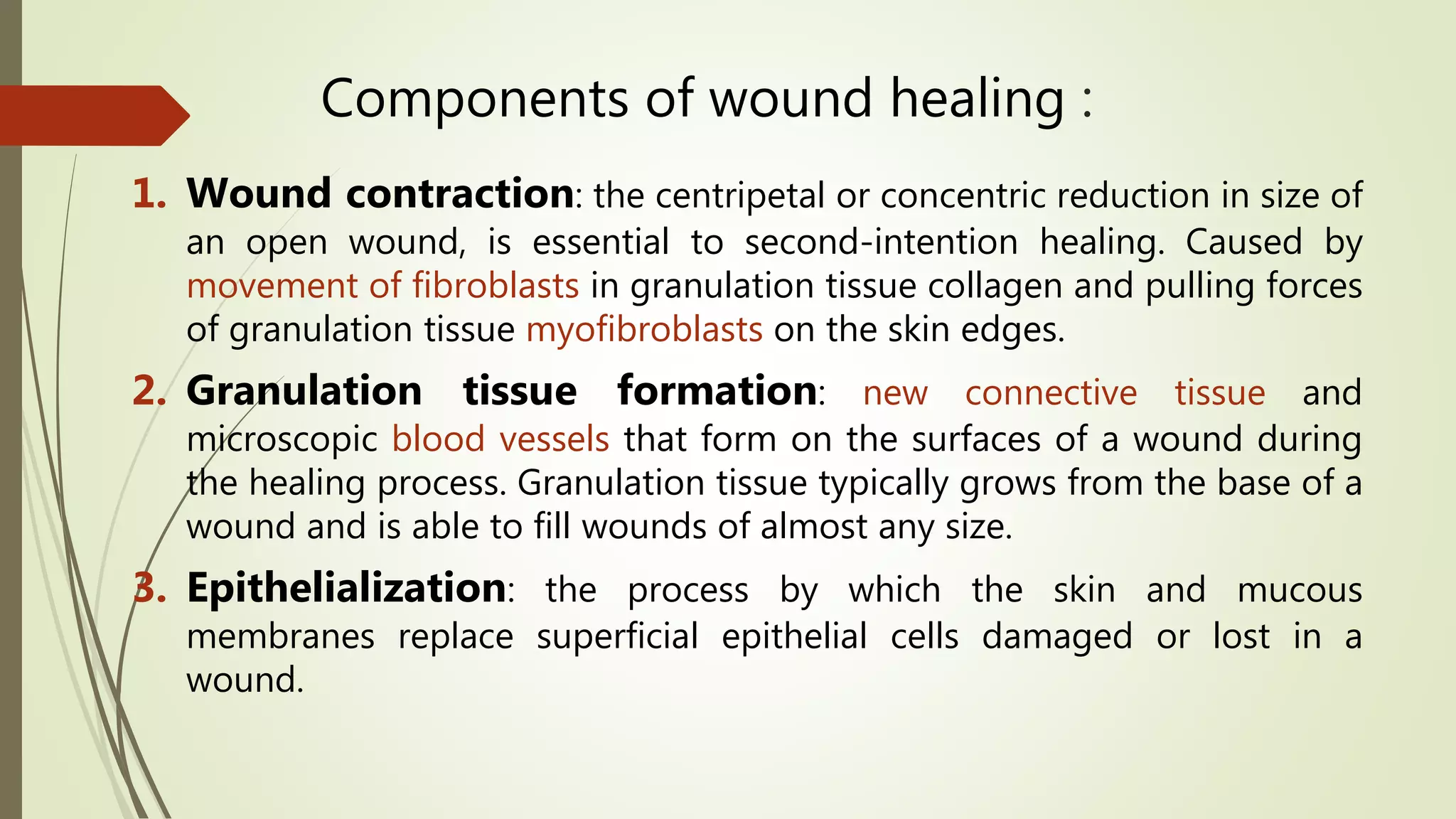 Wound healing | PPTX