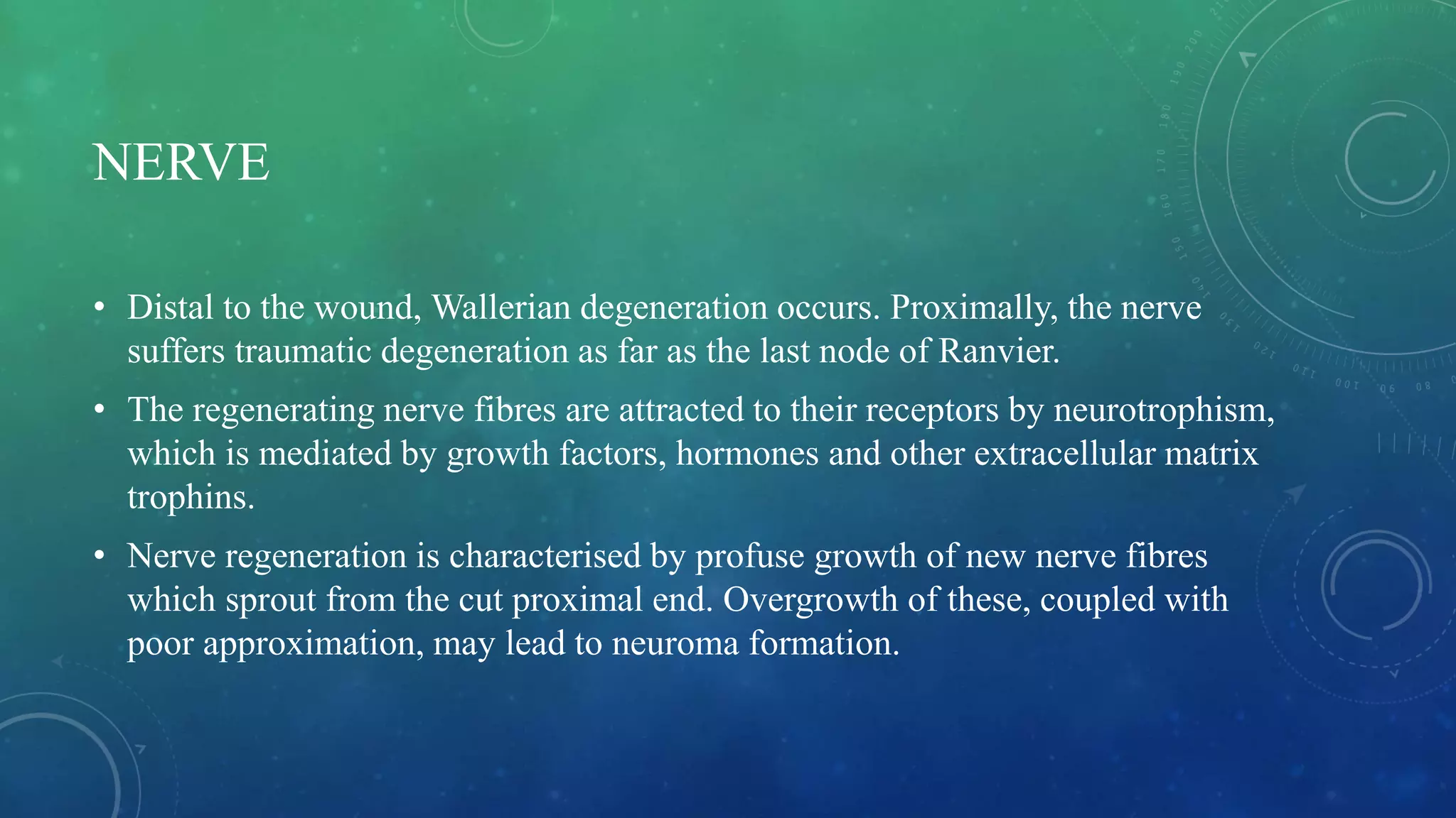 Wound healing | PPTX