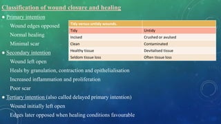 Wound healing | PPTX