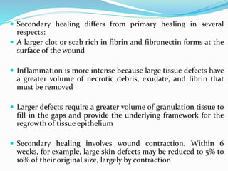 Wound healing | PPTX