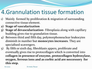 Wound healing | PPTX