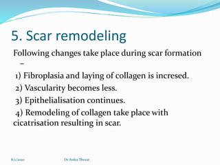 Wound healing | PPTX