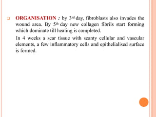 woundhealing bacteria inflammation and repair | PDF