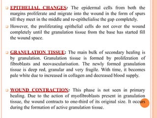 woundhealing bacteria inflammation and repair | PPT