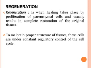 woundhealing bacteria inflammation and repair | PDF