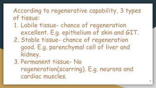 Wound healing | PPTX