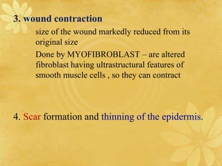 Wound healing | PPTX
