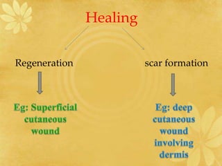 Wound healing | PPTX