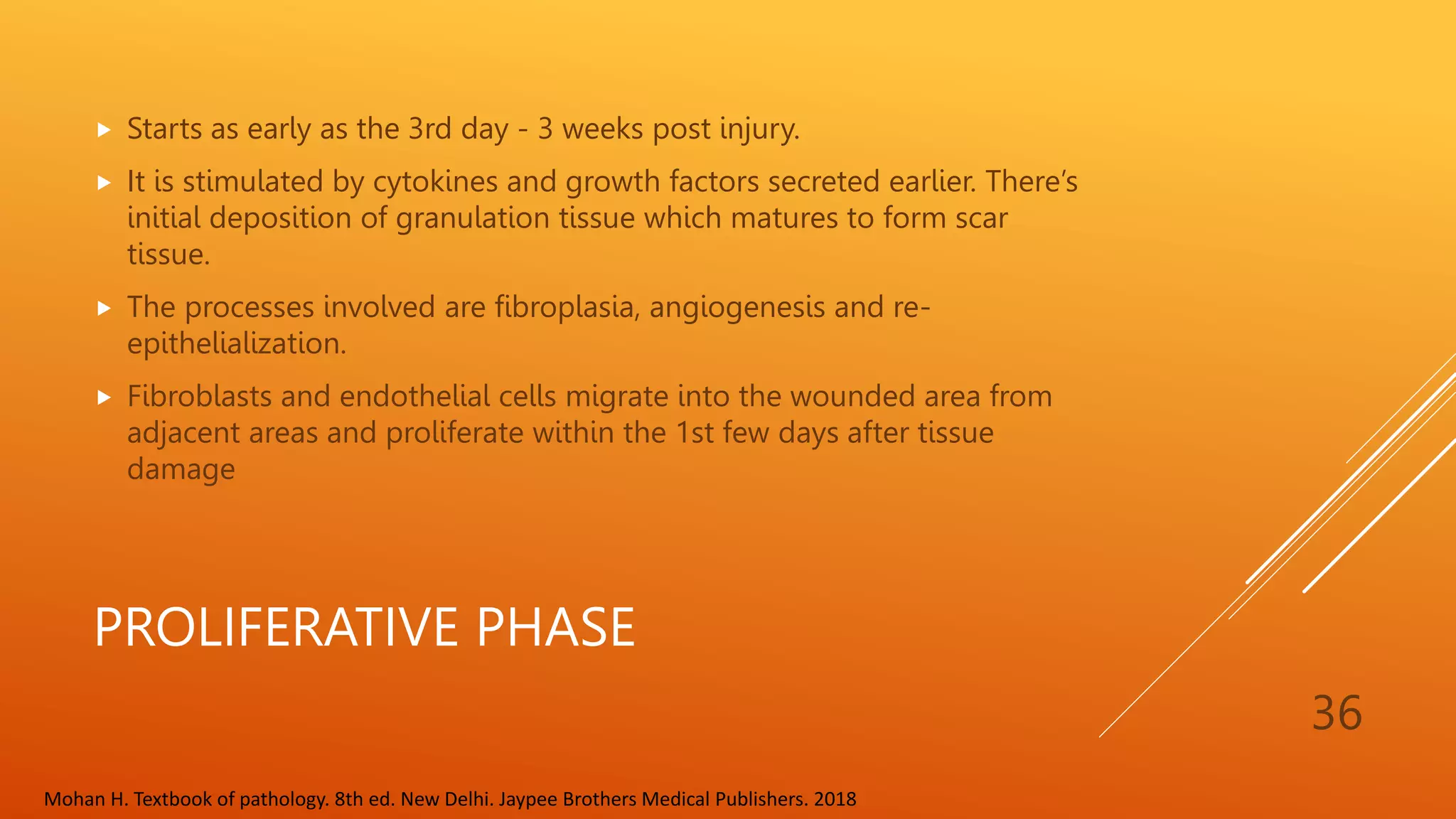 wound healing.pptx