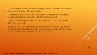wound healing.pptx