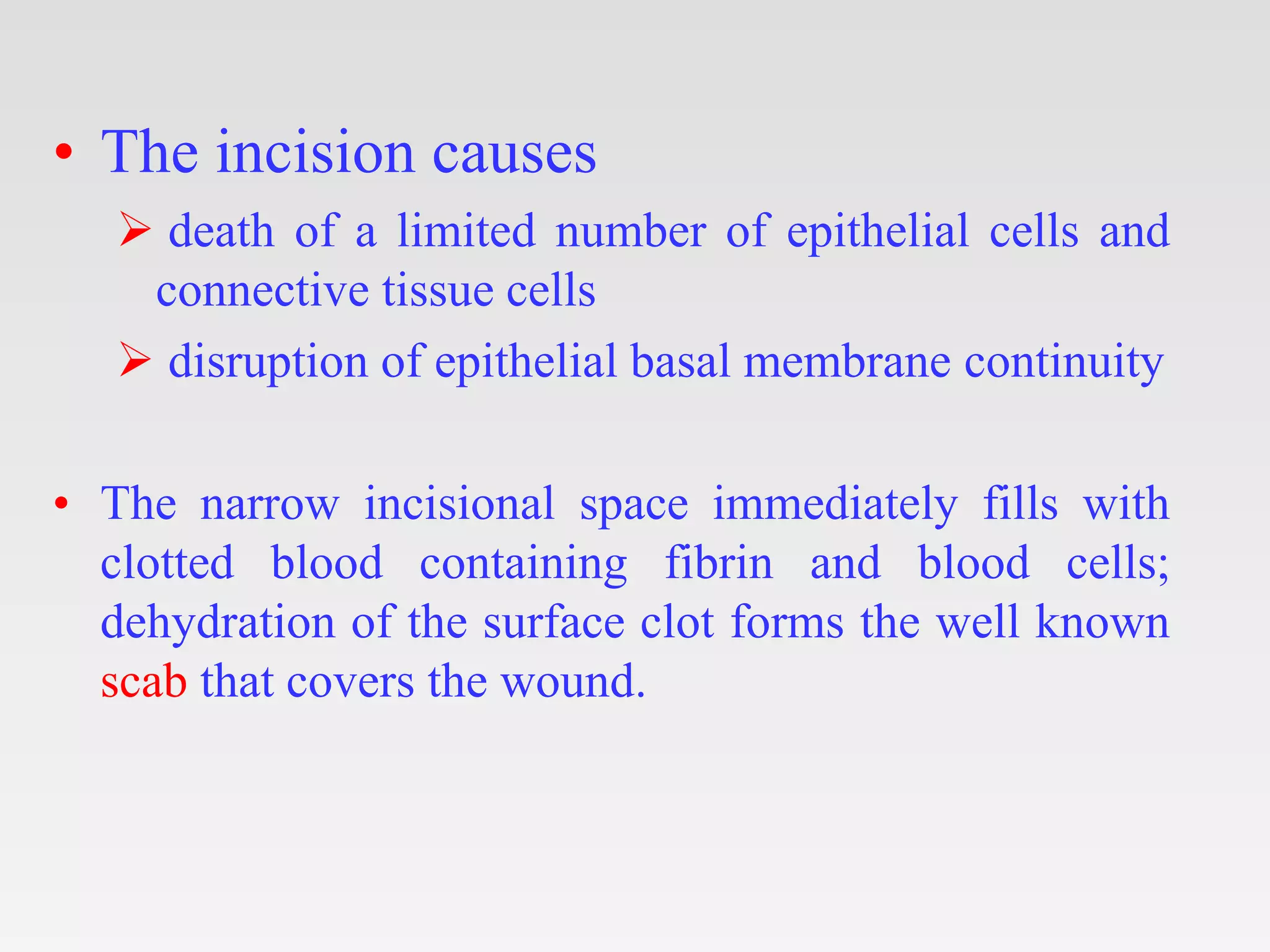 Wound healing.pptx