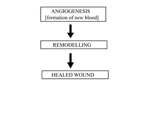 wound healing.pptx
