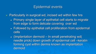 WOUND HEALING.ppt
