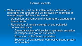 WOUND HEALING.ppt